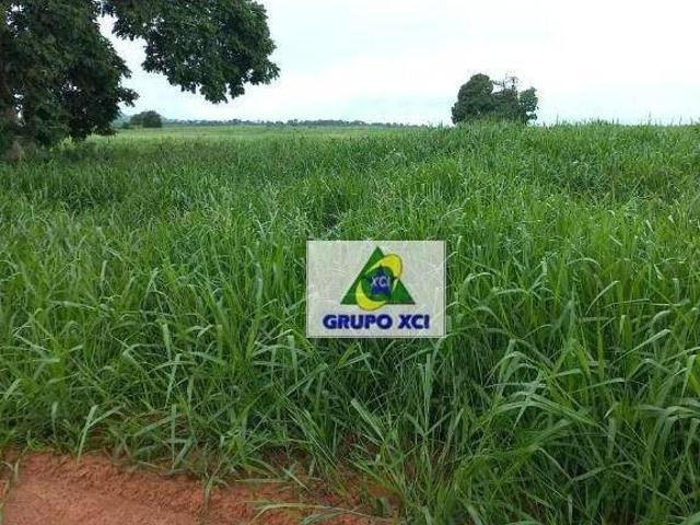 Fazenda para venda em Pontal do Araguaia