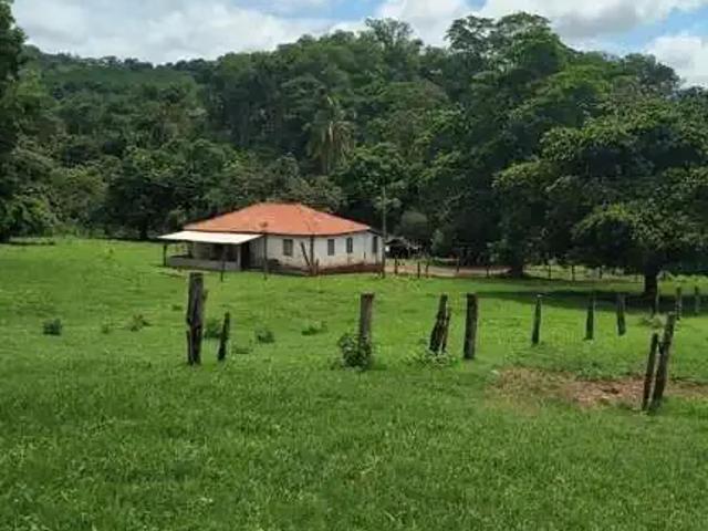 Fazenda para Venda em Pontalina/GO Zona Rural