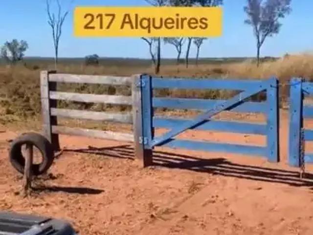 Fazenda para Venda em Ponte Alta do Tocantins/TO Zona Rural
