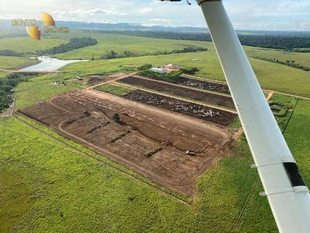 Fazenda para Venda em Pontes e Lacerda/MT Zona Rural