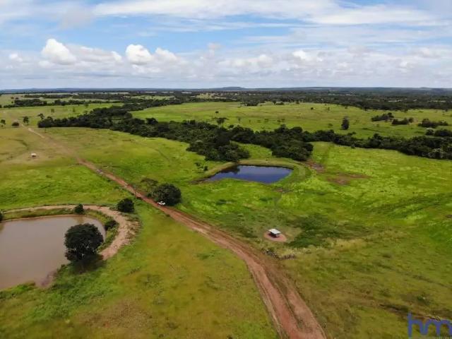 Fazenda para Venda em Porangatu/GO Zona Rural