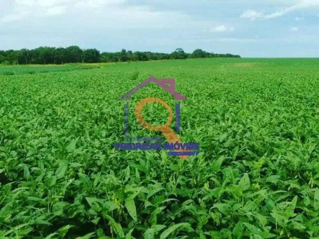 Fazenda para Venda em Porangatu/GO Zona Rural 3 Quartos