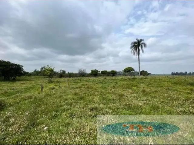 Fazenda para Venda em Portão/RS Zona Rural