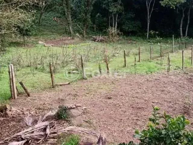 Fazenda para Venda em Porto Alegre/RS Cascata 2 Quartos