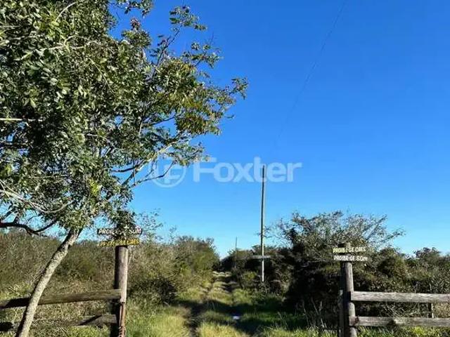 Fazenda para Venda em Porto Alegre/RS Boa Vista do Sul