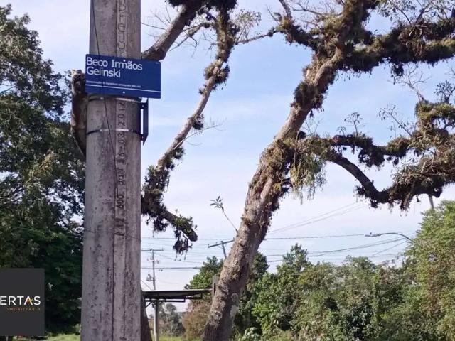 Fazenda para Venda em Porto Alegre/RS Belém Novo