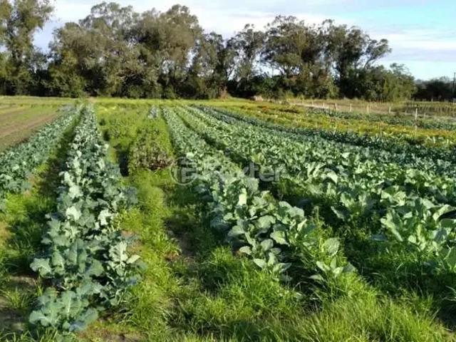 Fazenda para Venda em Porto Alegre/RS Belém Novo