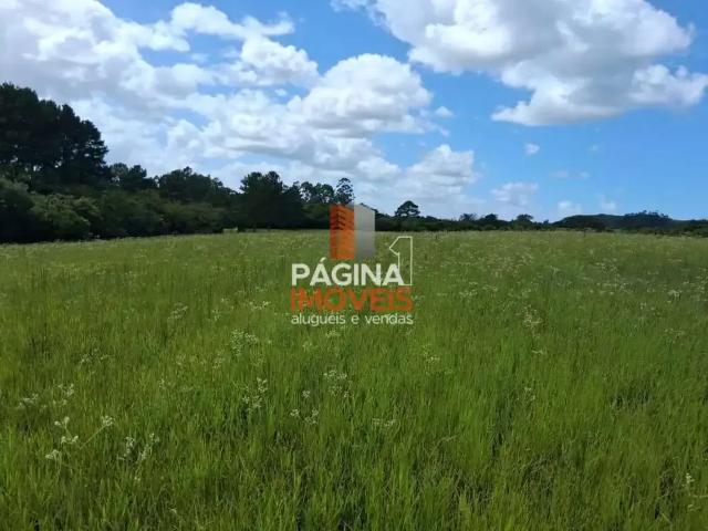 Fazenda para Venda em Porto Alegre/RS Pitinga 1 Quartos