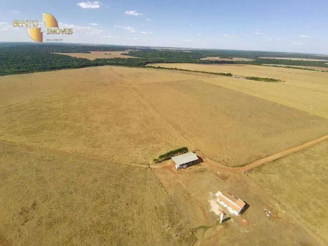 Fazenda para Venda em Porto dos Gaúchos/MT Zona Rural