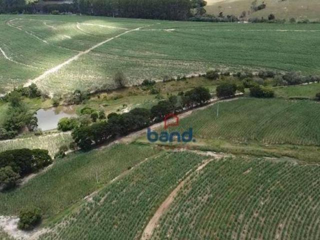 Fazenda para venda em Porto Feliz