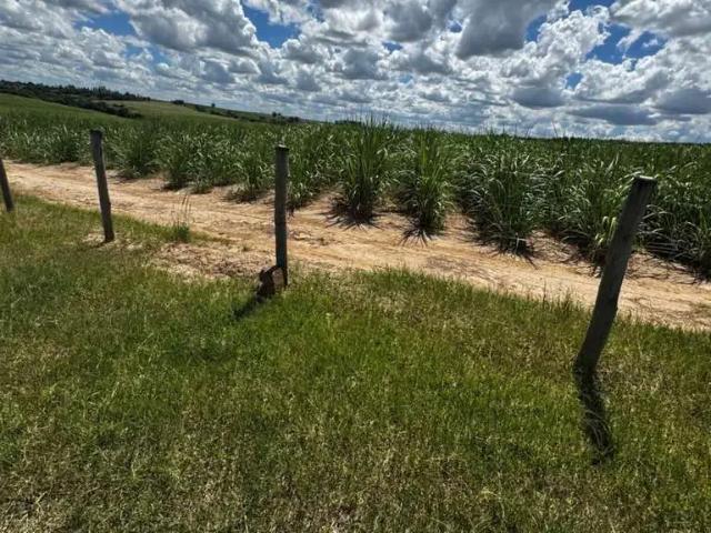 Fazenda para Venda em Porto Feliz/SP Zona Rural
