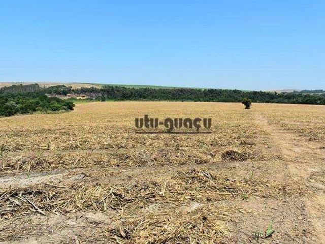 Fazenda para Venda em Porto Feliz/SP Bananal do Avecuia