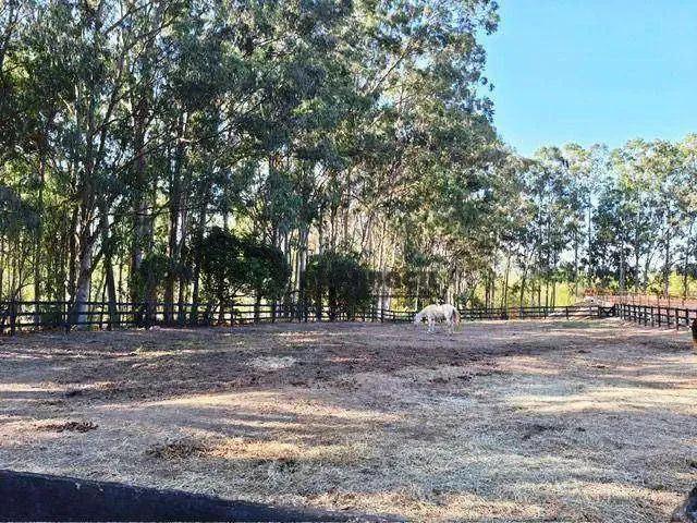 Fazenda para Venda em Porto Feliz/SP Caiacatinga