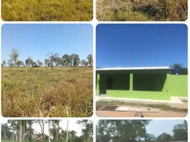Fazenda para Venda em Porto Murtinho/MS Zona Rural