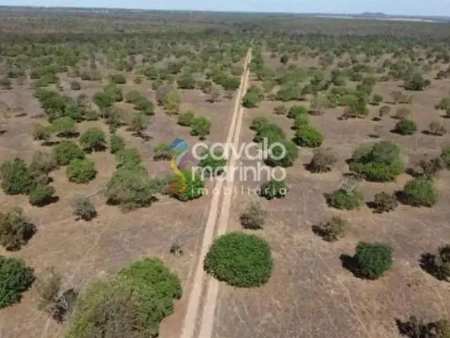Fazenda para Venda em Porto Nacional/TO Zona Rural 1 Quartos