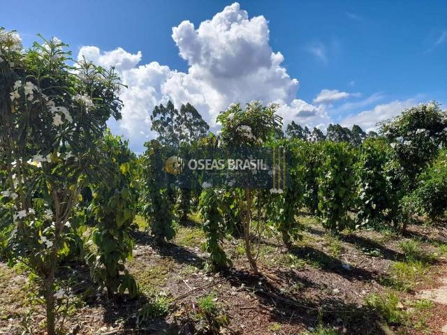 Fazenda para Venda em Porto Seguro/BA Vale Verde
