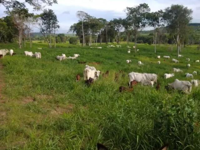 Fazenda para Venda em Porto Seguro/BA Zona Rural