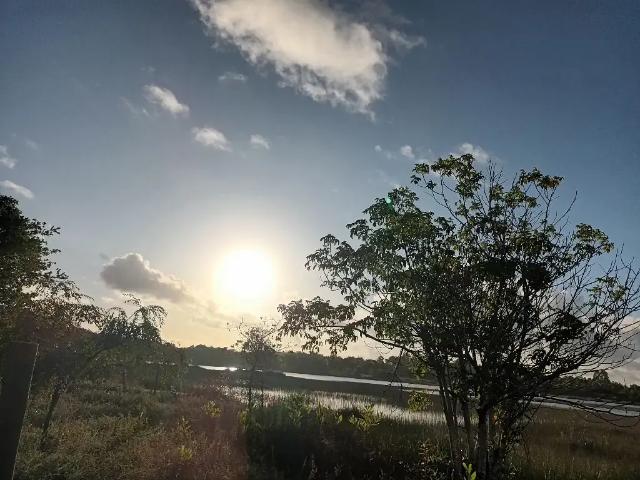 Fazenda para Venda em Portel/PA Centro