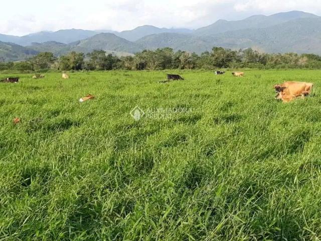 Fazenda para Venda em Paulo Lopes/SC Penha