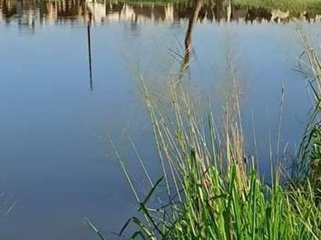 Fazenda para Venda em Pacajá/PA Zona Rural