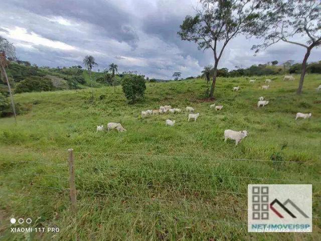 Fazenda para Venda em Padre Bernardo/GO Zona Rural
