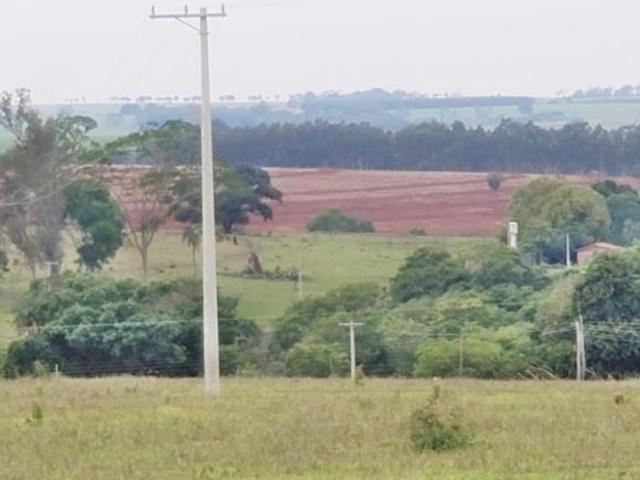 Fazenda para Venda em Palestina, Zona Rural