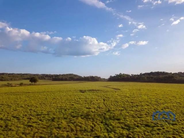 Fazenda para Venda em Palmas/TO Área Rural de Palmas 1 Quartos