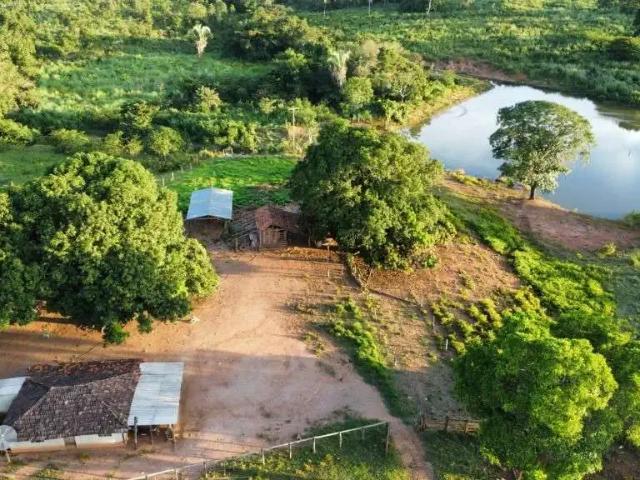 Fazenda para Venda em Palmeirópolis/TO Zona Rural
