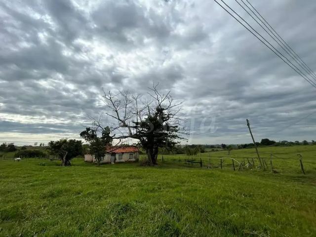 Fazenda para Venda em Palmeira D'Oeste/SP Zona Rural