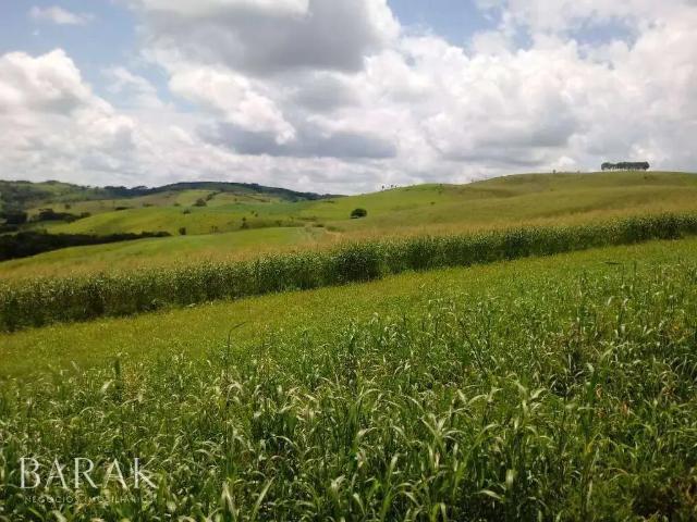 Fazenda para Venda em Palmital/PR Zona Rural