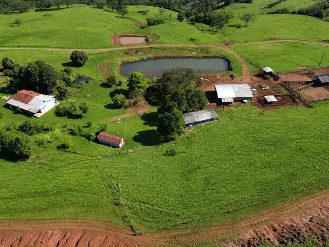 Fazenda para Venda em Palmital/PR Zona Rural