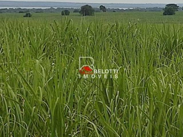 Fazenda para venda em Panorama