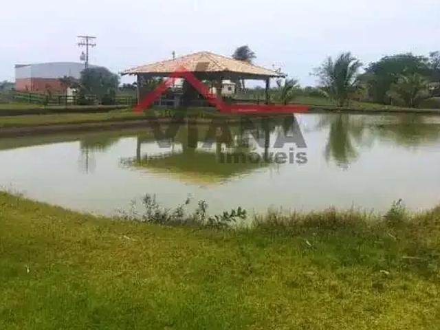 Fazenda para Venda em Panorama/SP Zona Rural