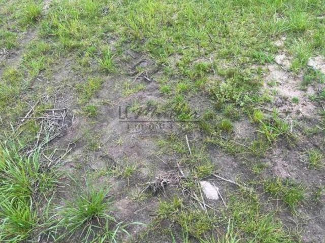 Fazenda para venda em Pantano Grande