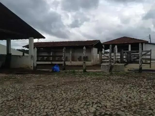 Fazenda para Venda em Pará de Minas/MG Centro 3 Quartos