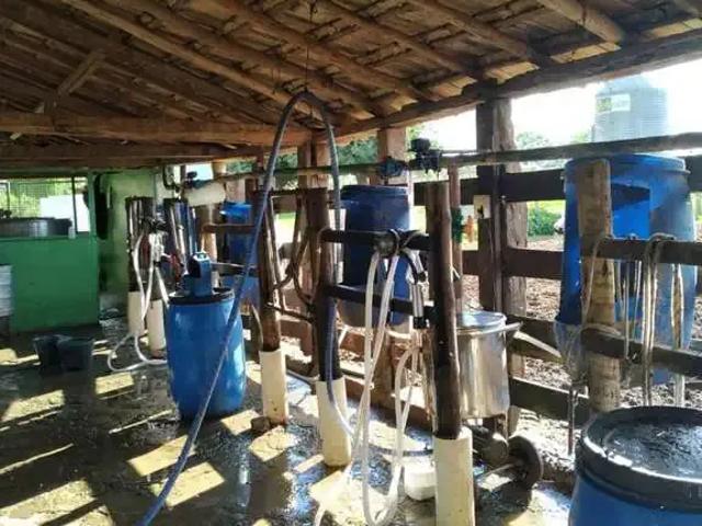 Fazenda para Venda em Pará de Minas/MG São José 3 Quartos