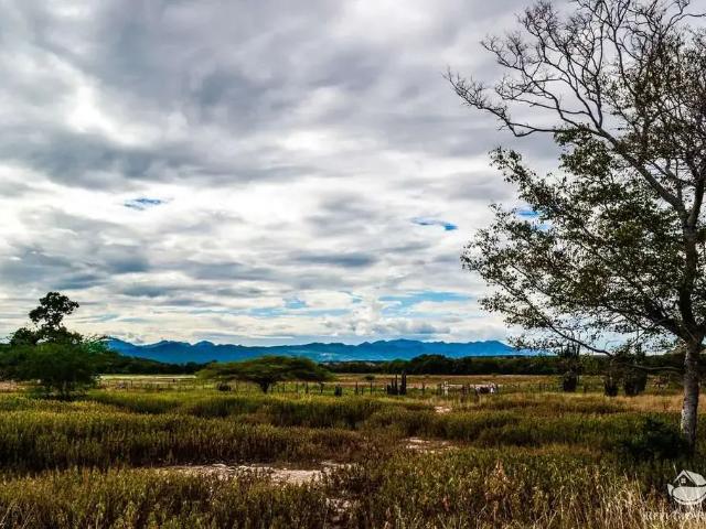 Fazenda para Venda em Paranã/TO Setor Central