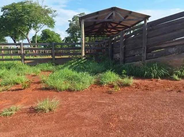 Fazenda para Venda em Paranã/TO Zona Rural