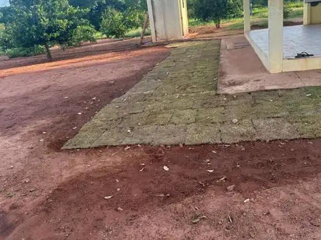 Fazenda para Venda em Paranã/TO Zona Rural