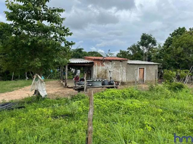 Fazenda para Venda em Paranã/TO Zona Rural