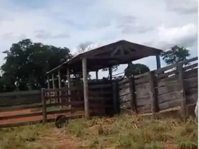Fazenda para Venda em Paranã/TO Zona Rural