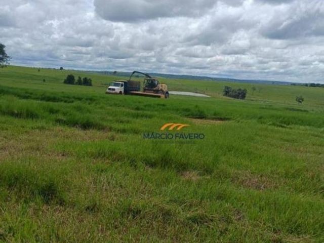 Fazenda para venda em Paranaíba