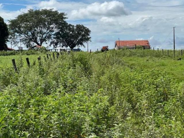 Fazenda para venda em Paranaiguara