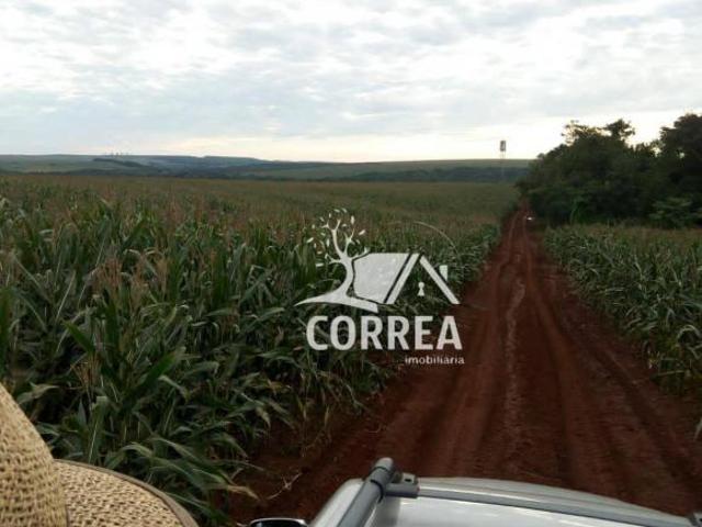 Fazenda para venda em Paranapanema