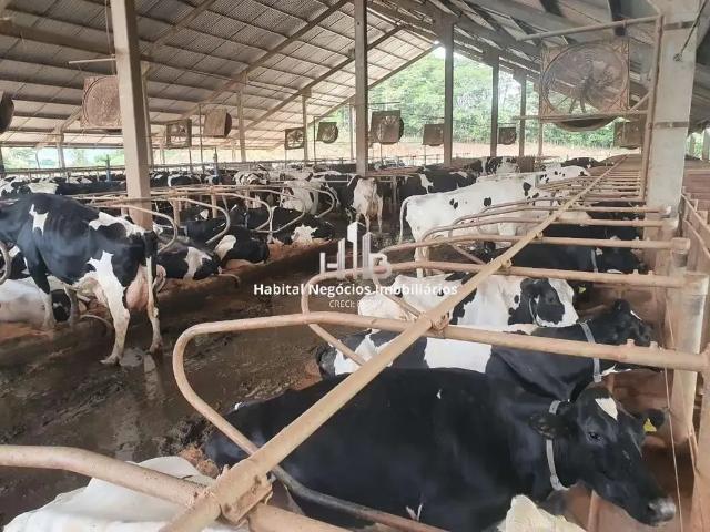 Fazenda para Venda em Paranapanema/SP Centro 10 Quartos