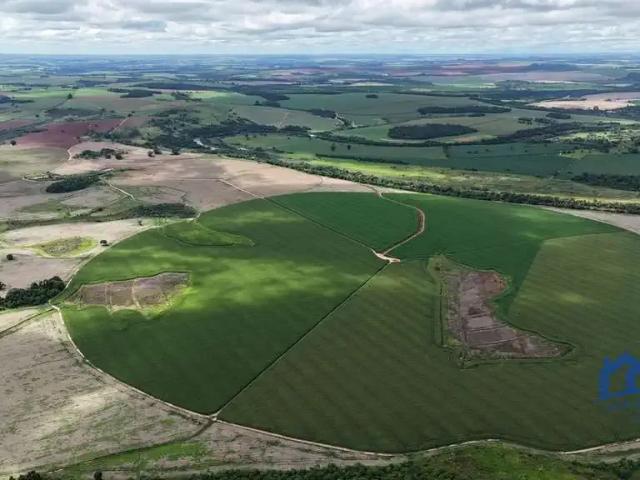 Fazenda para Venda em Paranapanema/SP Centro 3 Quartos