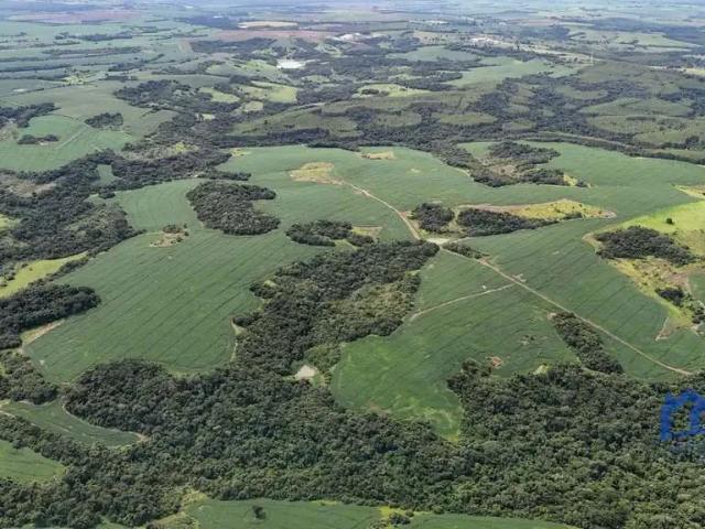 Fazenda para Venda em Paranapanema/SP Holambra II 3 Quartos
