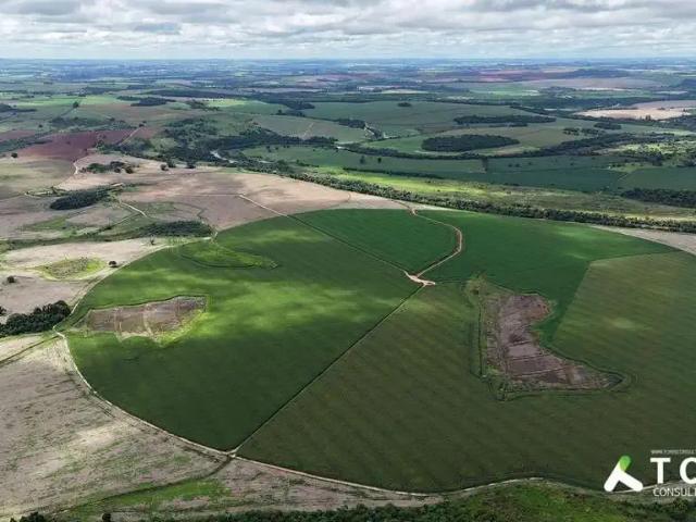 Fazenda para Venda em Paranapanema/SP Portal
