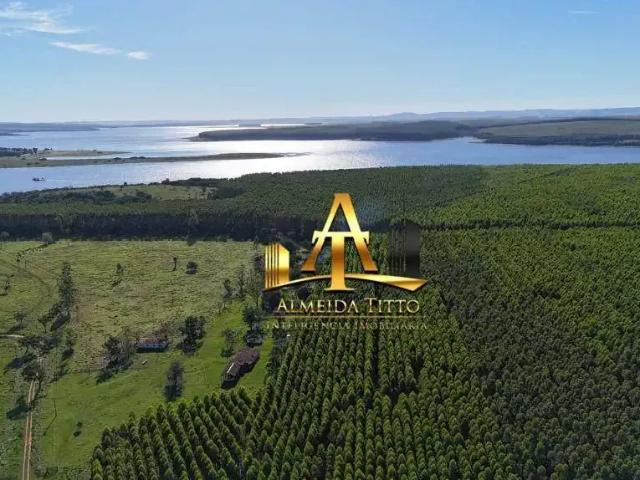 Fazenda para Venda em Paranapanema/SP Portal