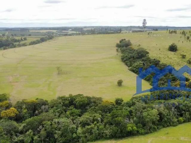Fazenda para Venda em Paranapanema/SP Terras de Jurumirim 3 Quartos